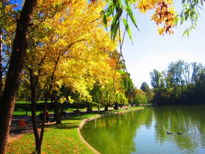 Tablouri de toamna | Wish of Love. Summer Love